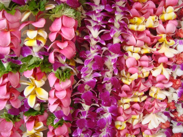 16 Hawaiian Products to Bring Home from Honolulu, Honolulu, Hawaii