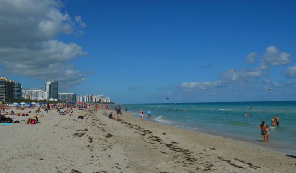 Local's Guide to Miami Neighborhoods, Miami, Florida