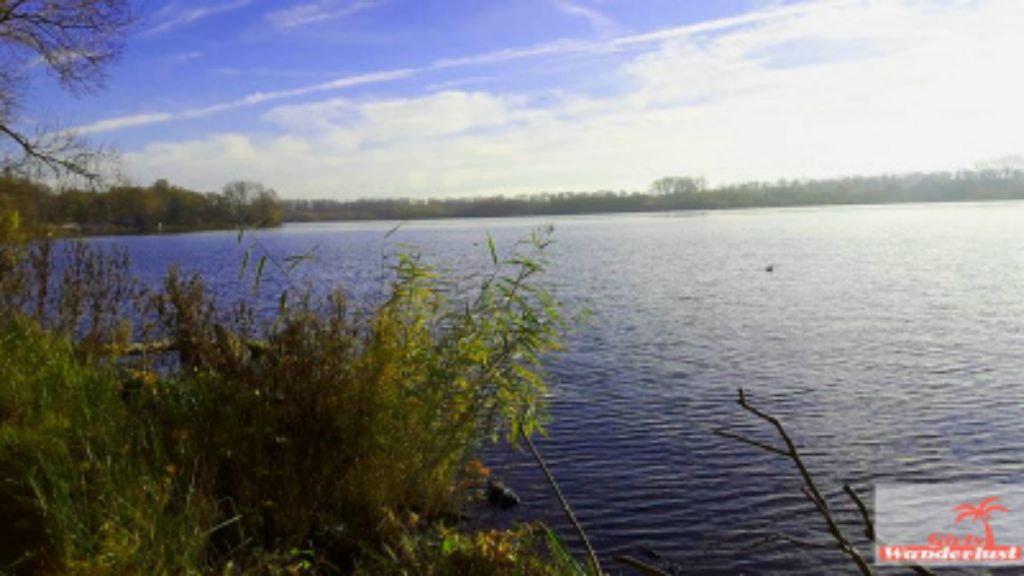 The Amsterdam Forest, Amsterdam, Netherlands