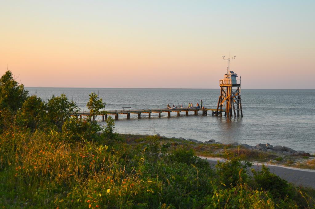 Things to Do in Dauphin Island, Dauphin Island, Alabama