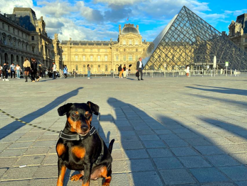 Visiting Paris with a Dog, Paris, France