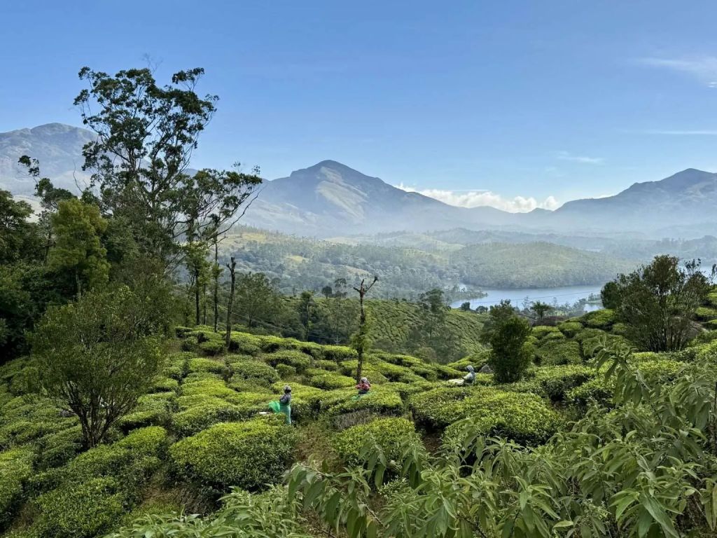2 Days in Munnar, Munnar, India