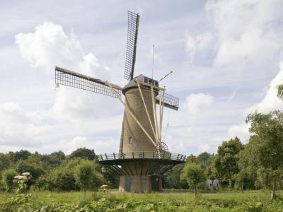 De Speelman, Rotterdam