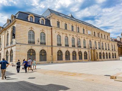 Musee des Beaux-Arts de Dijon (Museum of Fine Arts), Dijon