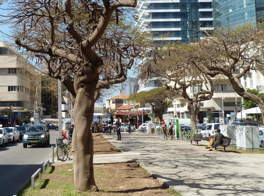 Tel Aviv White City Architecture Tour (Self Guided), Tel Aviv, Israel