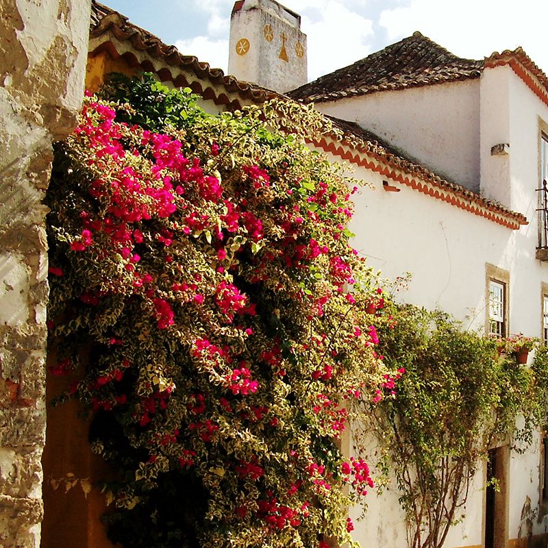 Obidos, Portugal Self-Guided Walking Tour + Map