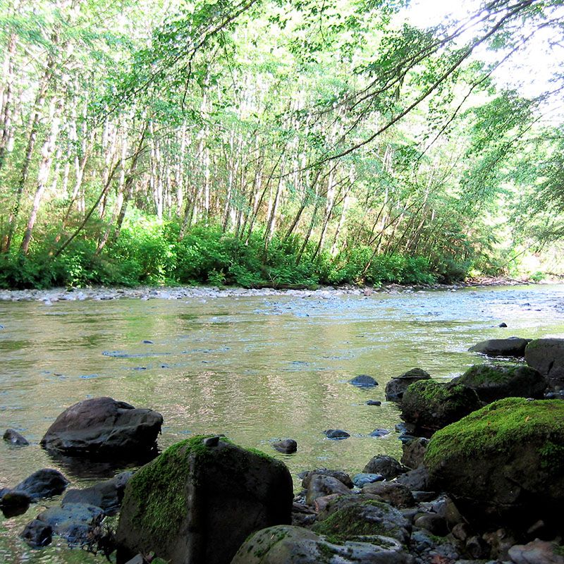 2 Self-Guided Walking Tours in Sitka, Alaska + Maps