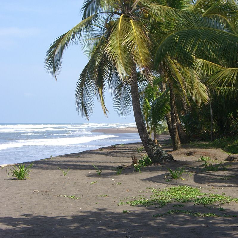 Limon, Costa Rica Self-Guided Walking Tour + Map