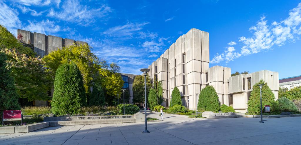 Regenstein Library and Mansueto Library, Chicago