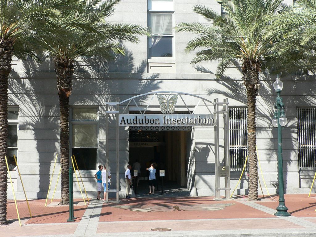 Audubon Insectarium, New Orleans