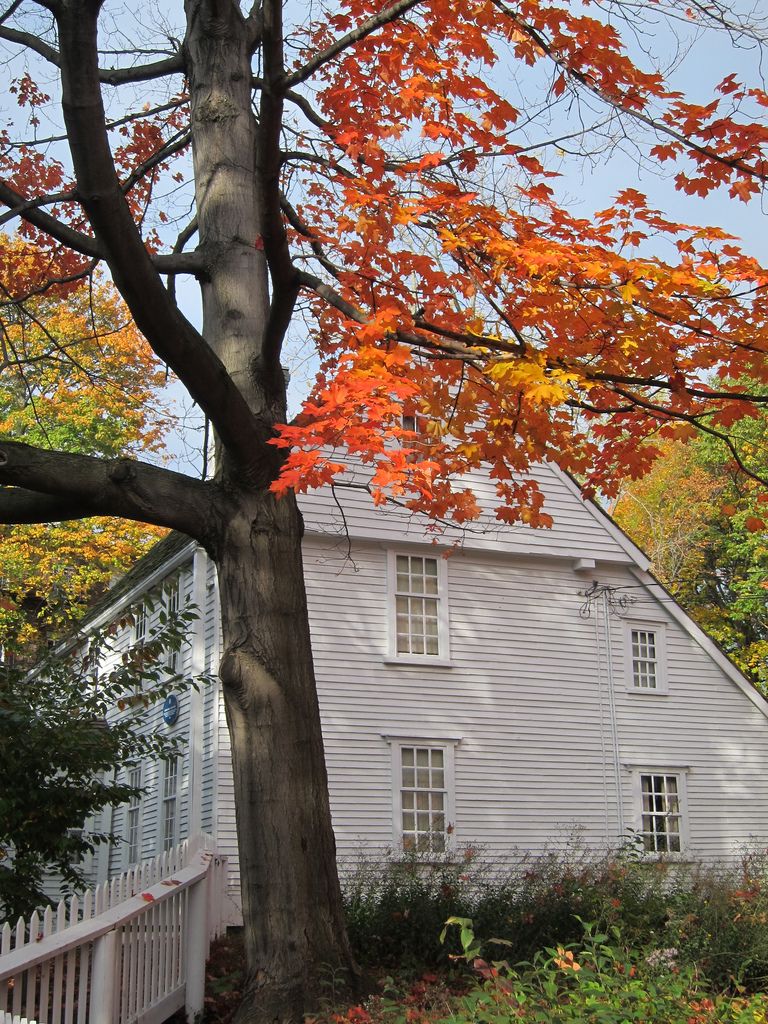Cooper-Frost-Austin House, Boston
