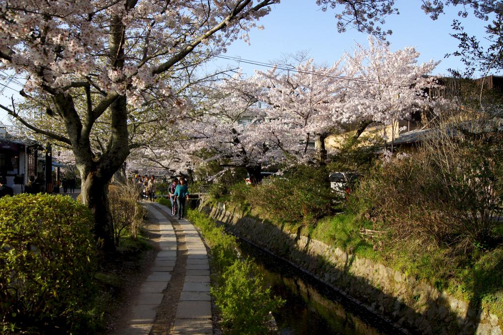 Philosopher's Path: Sakurabashi Bridge, Kyoto