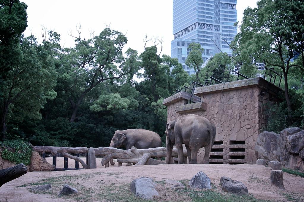 Tennoji Zoo, Osaka