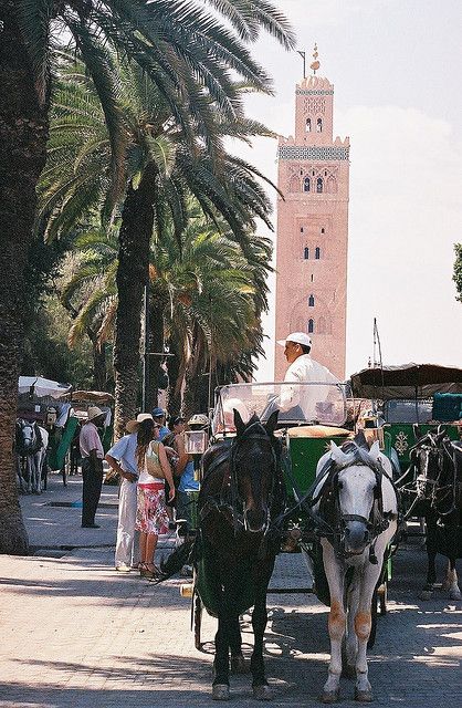 Caleche Trips in Jemaa el Fna, Marrakech