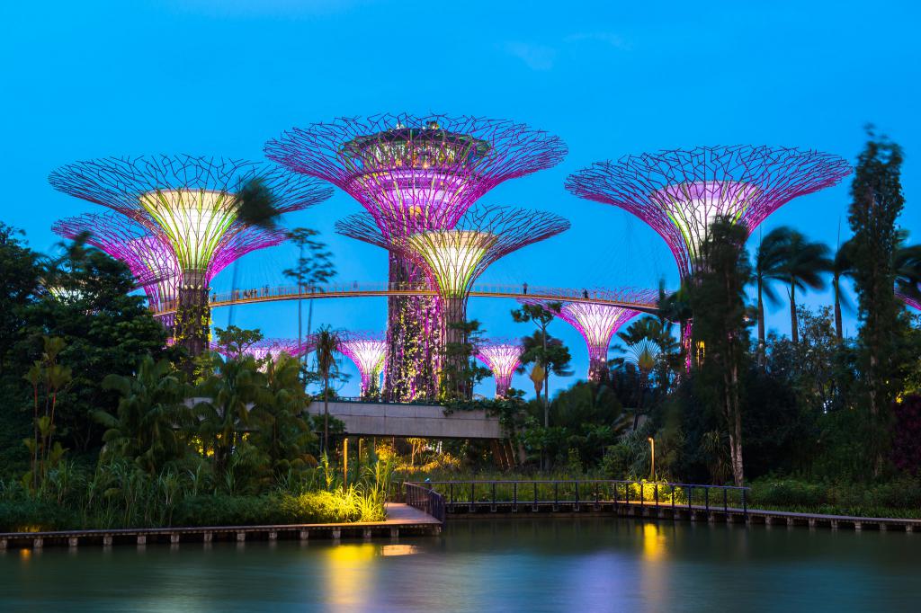 Supertree Grove and Observatory Space, Singapore