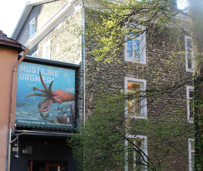 The Estonian Museum of Natural History (Loodusmuuseum), Tallinn