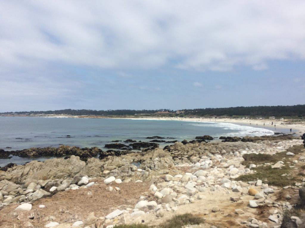 Del Monte Beach, Monterey