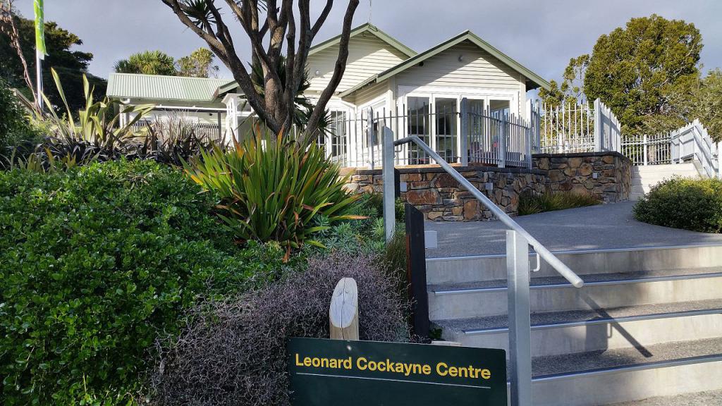 Otari-Wilton's Bush Native Botanic Garden, Wellington