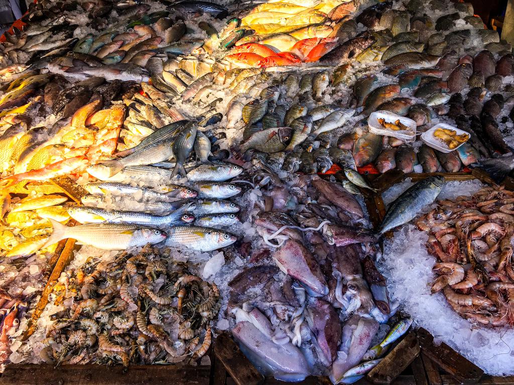 Fish Market, Hurghada