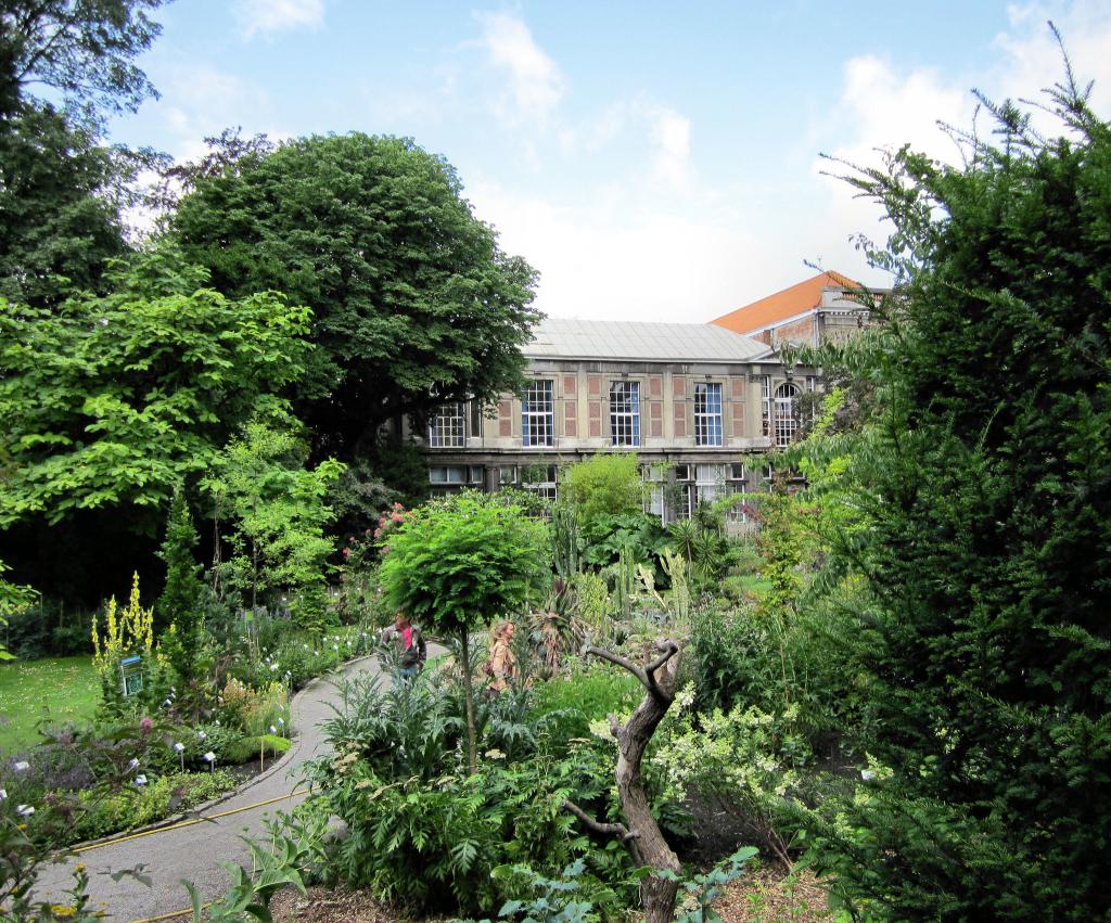 Botanic Gardens, Antwerp