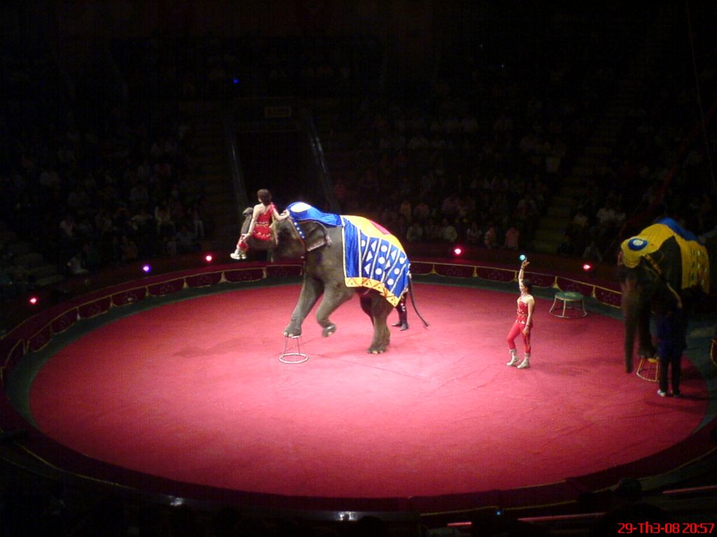 Vietnam Central Circus, Hanoi
