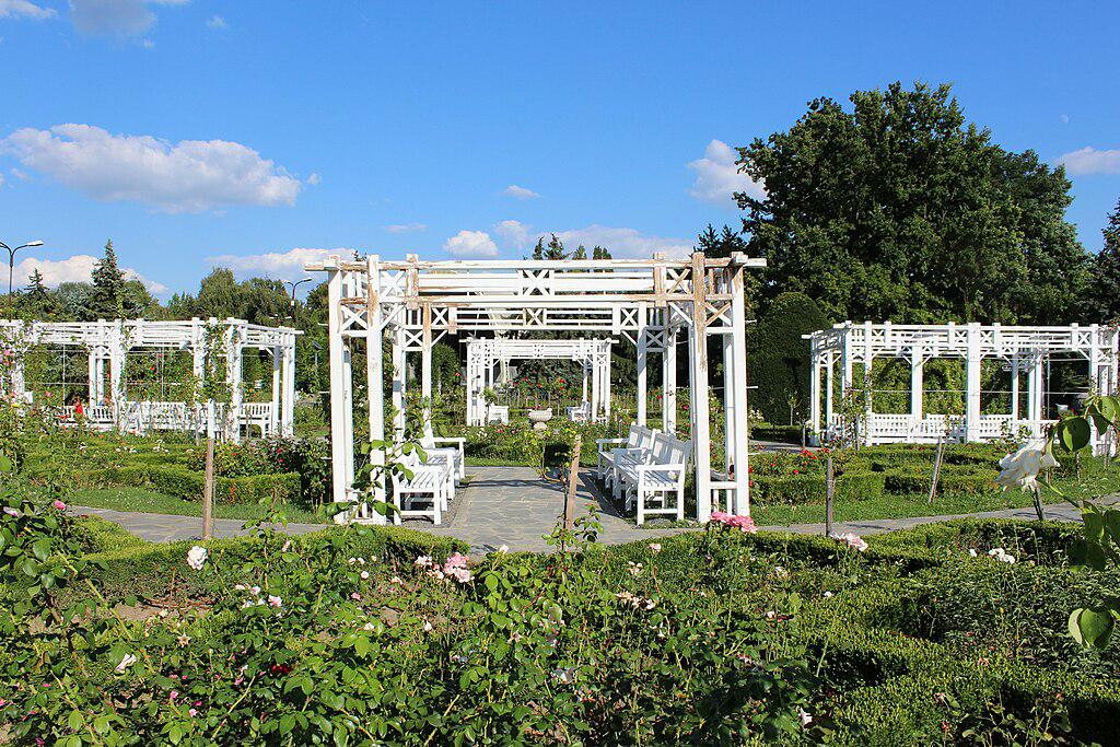 Parcul Rozelor (Roses Park), Timisoara