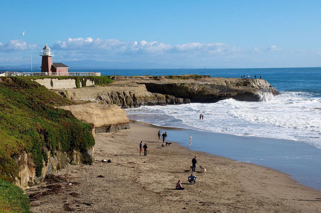 Lighthouse Field State Beach, Santa Cruz