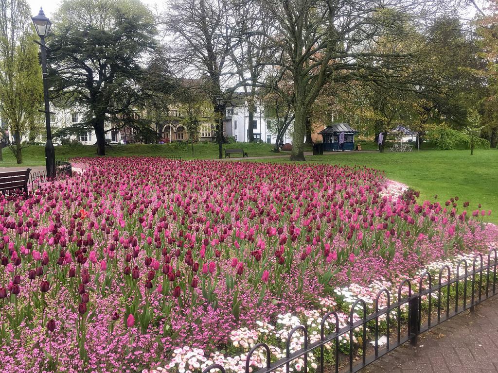 Gorsedd Gardens, Cardiff