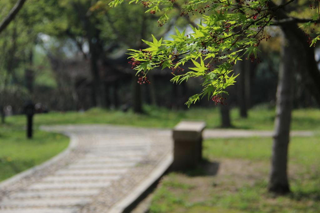 Guihua Park, Suzhou