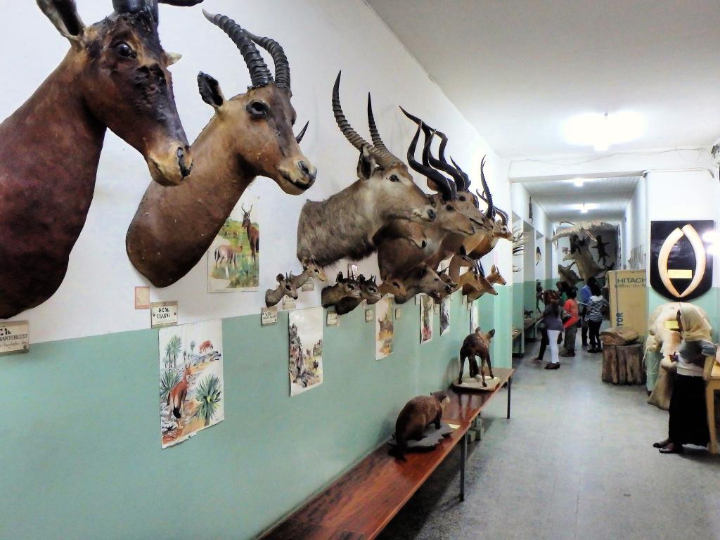 Addis Ababa Museum History