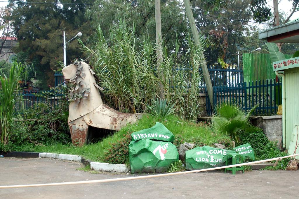 Addis Ababa Animals