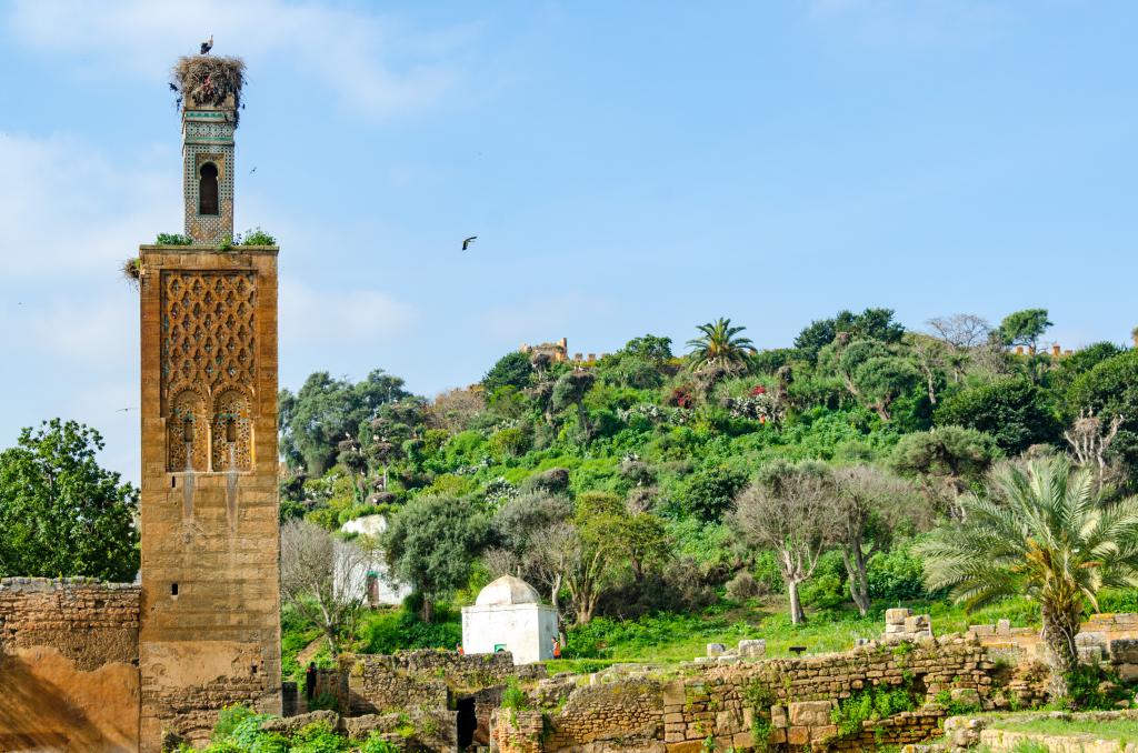 Chellah Necropolis, Rabat