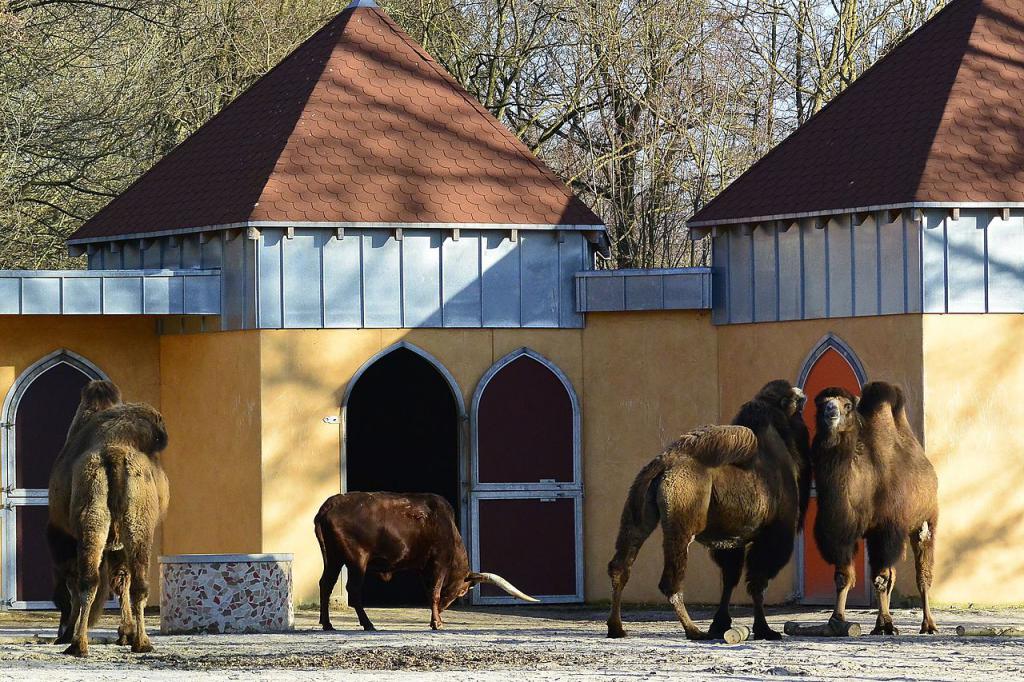 Zoo “Euregiozoo” (Aachener Tierpark), Aachen Zoo “Euregiozoo” (Aachener Tierpark), Aachen