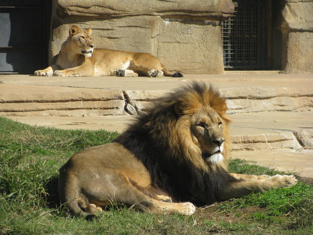 Tulsa Zoo, Tulsa