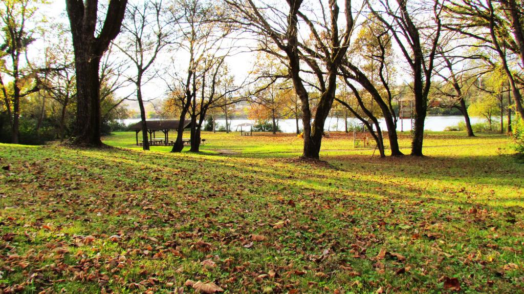 Tyson Park, Knoxville