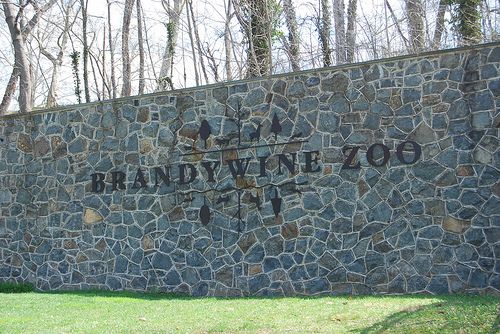 Brandywine Zoo, Wilmington