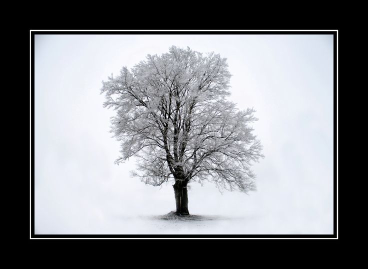 Art Source Gallery, Boise