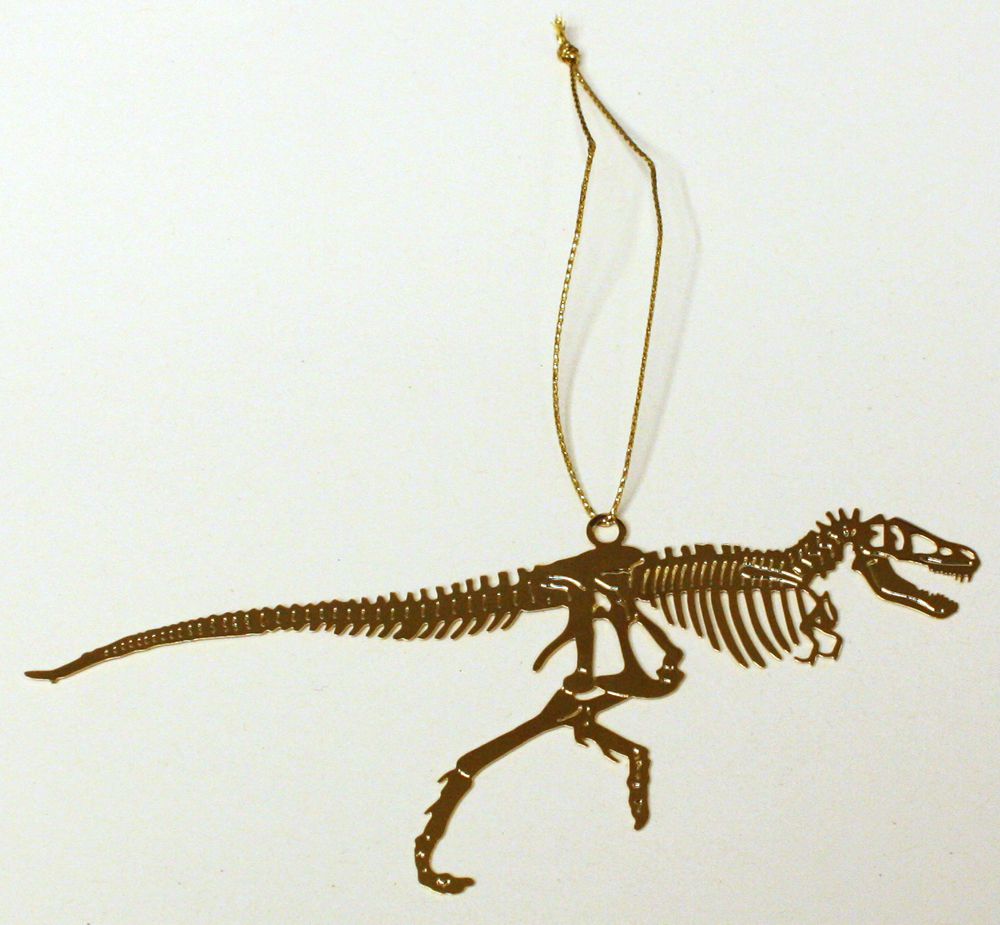 The Field Museum, Chicago