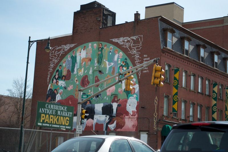 Cambridge Antique Market, Boston