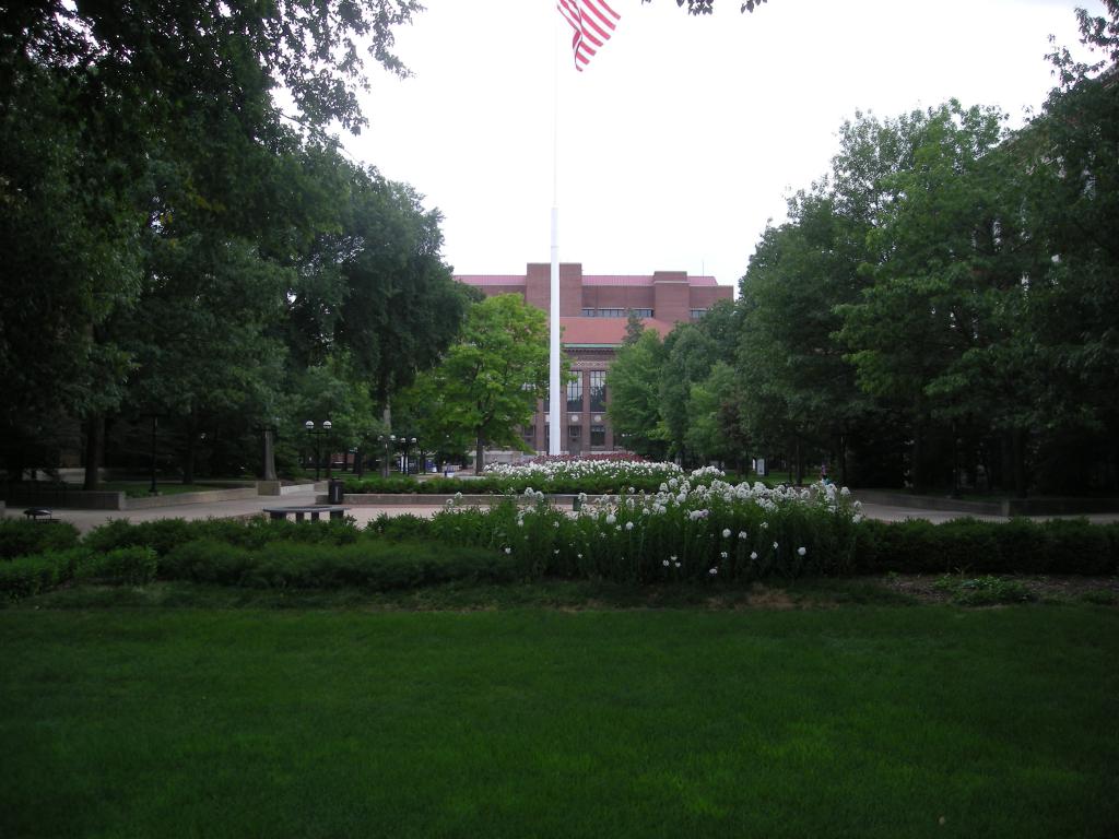 The Diag, Ann Arbor