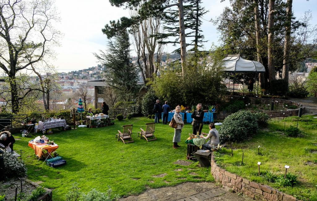 Civico Orto Botanico di Trieste (Botanical Garden of Trieste), Trieste