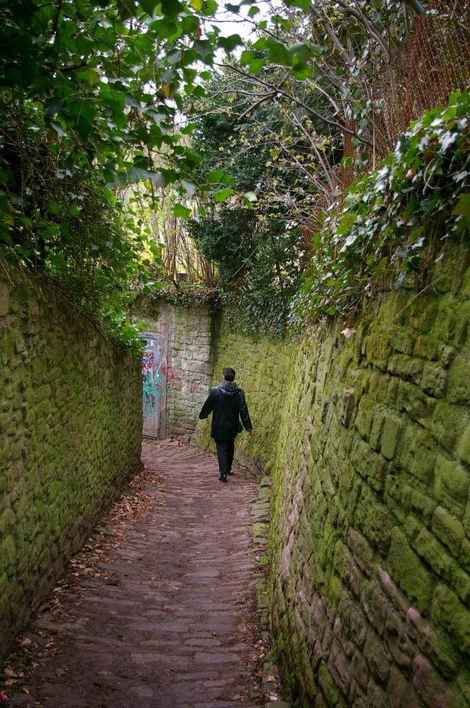 Schlangenweg (Snake Path), Heidelberg