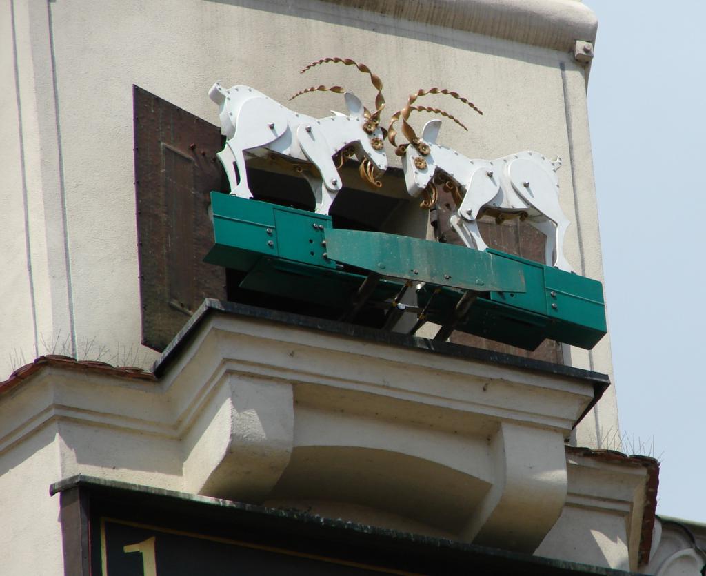 Koziolki Poznanskie (Poznan Goats), Poznan