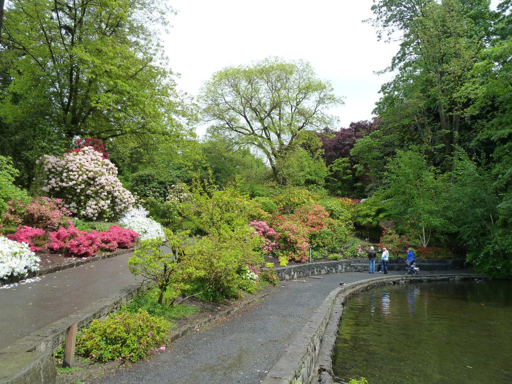 Crystal Springs Rhododendron Garden, Portland