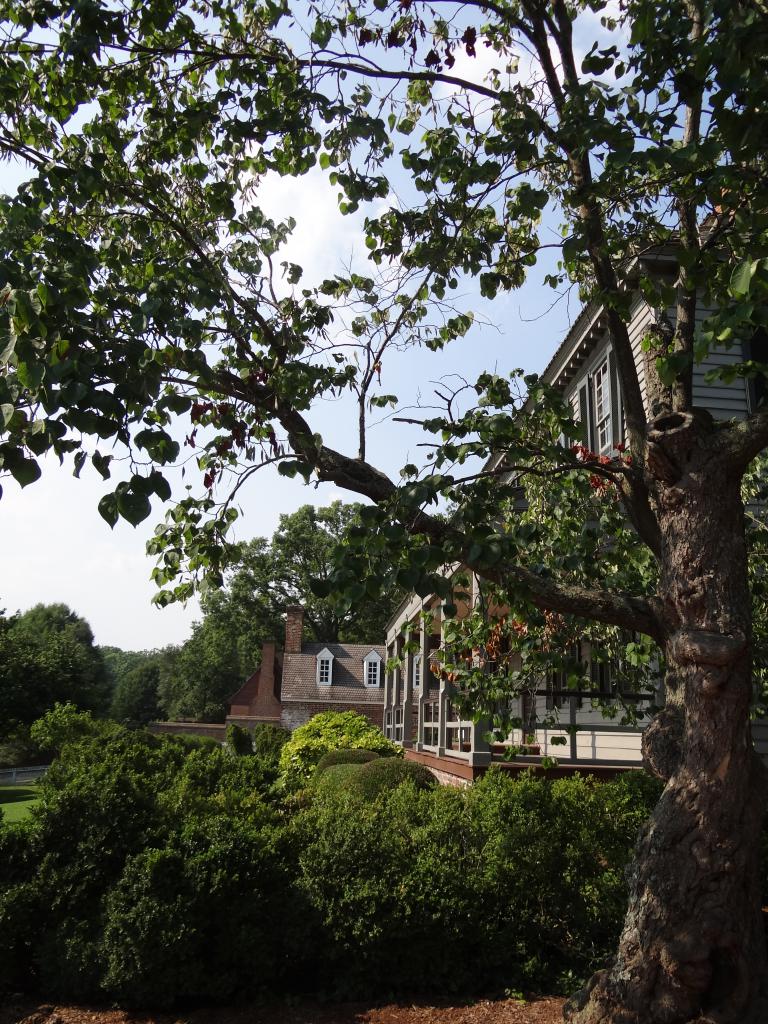 Robert Carter House, Williamsburg