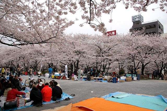 Sumida Park, Tokyo