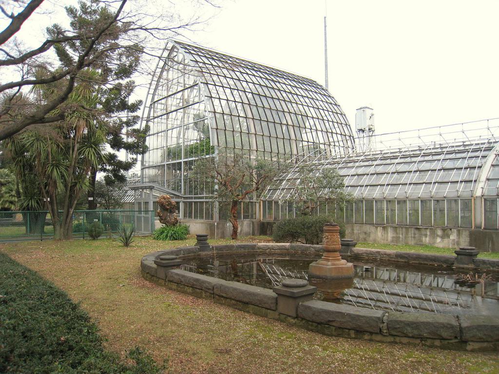 Koishikawa Botanical Gardens, Tokyo